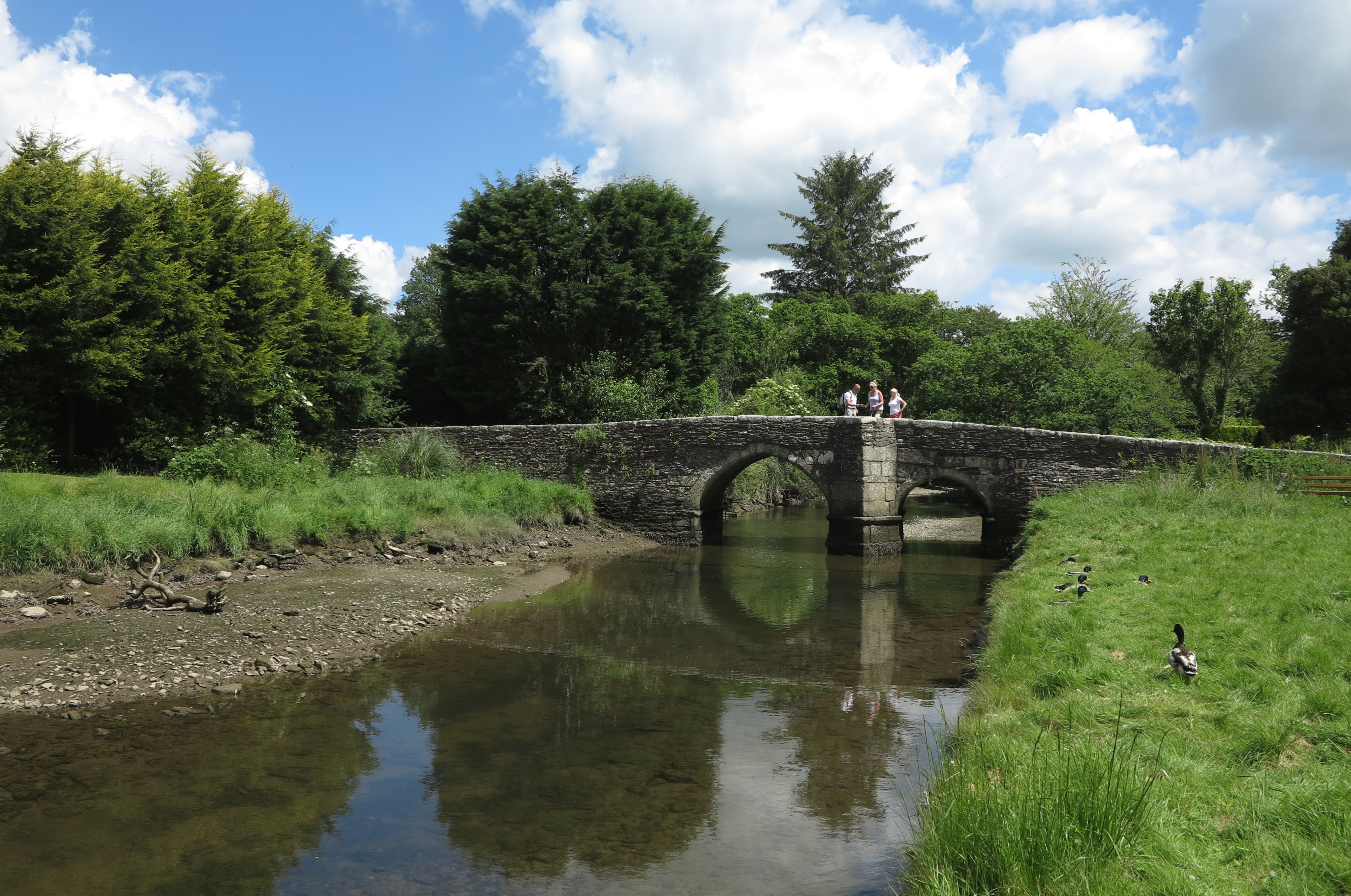 Lerryn Photos