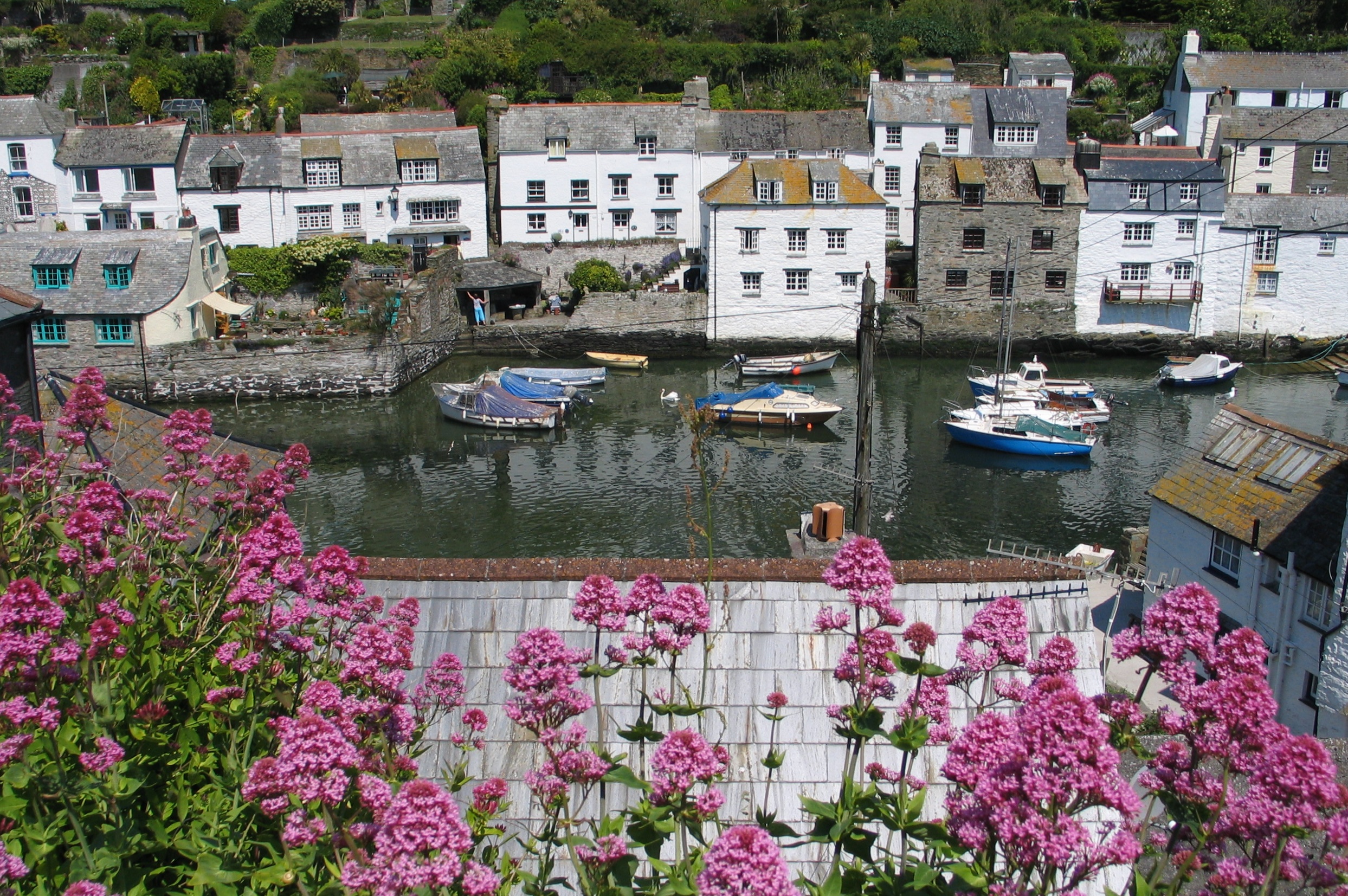 Polperro Photos