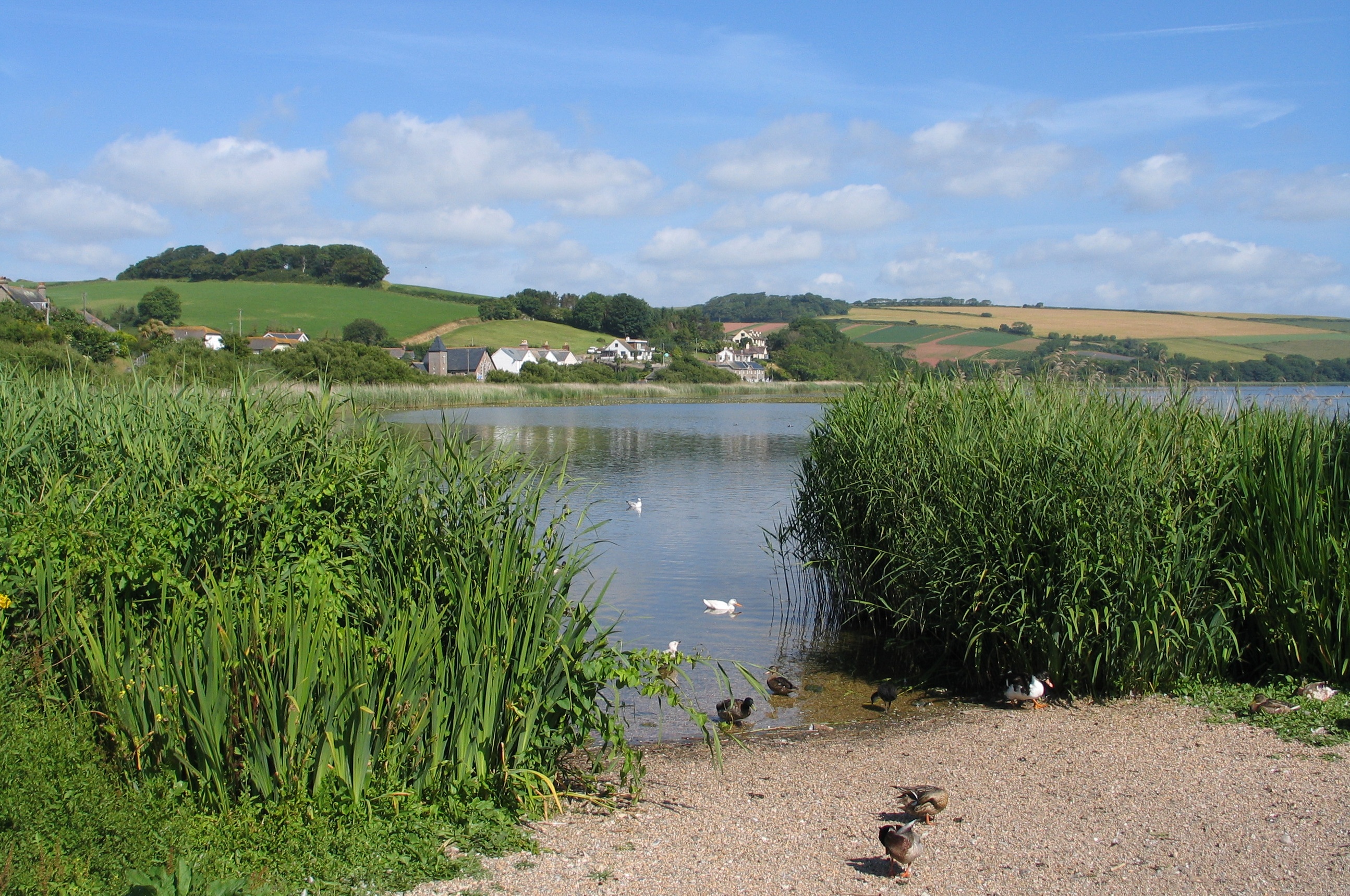 Torcross Photos
