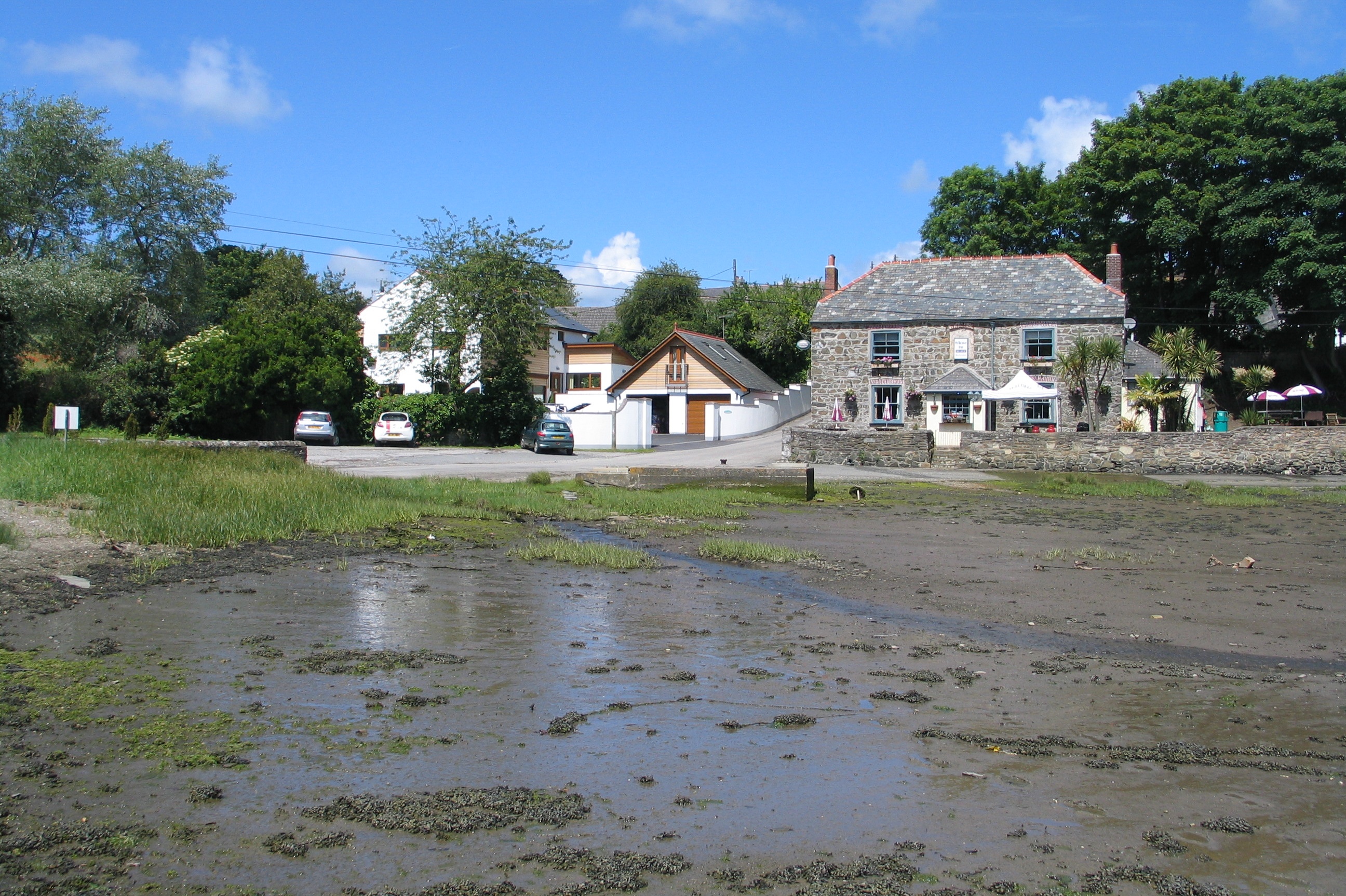 Wilcove Photos