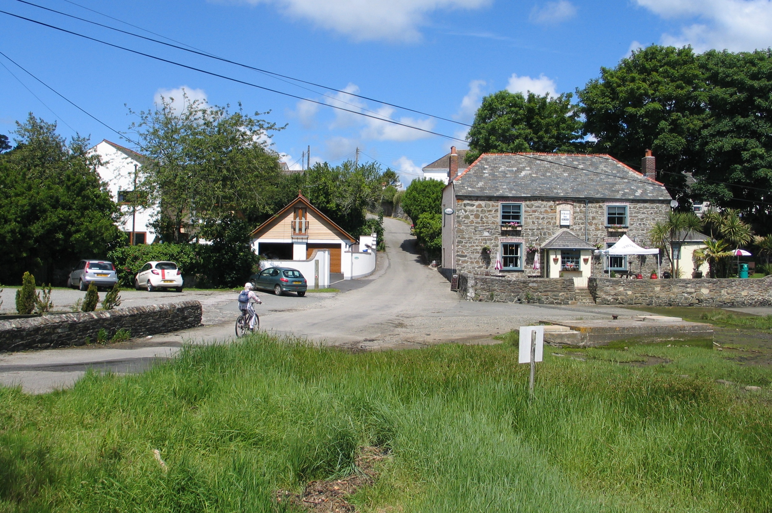 Wilcove Photos