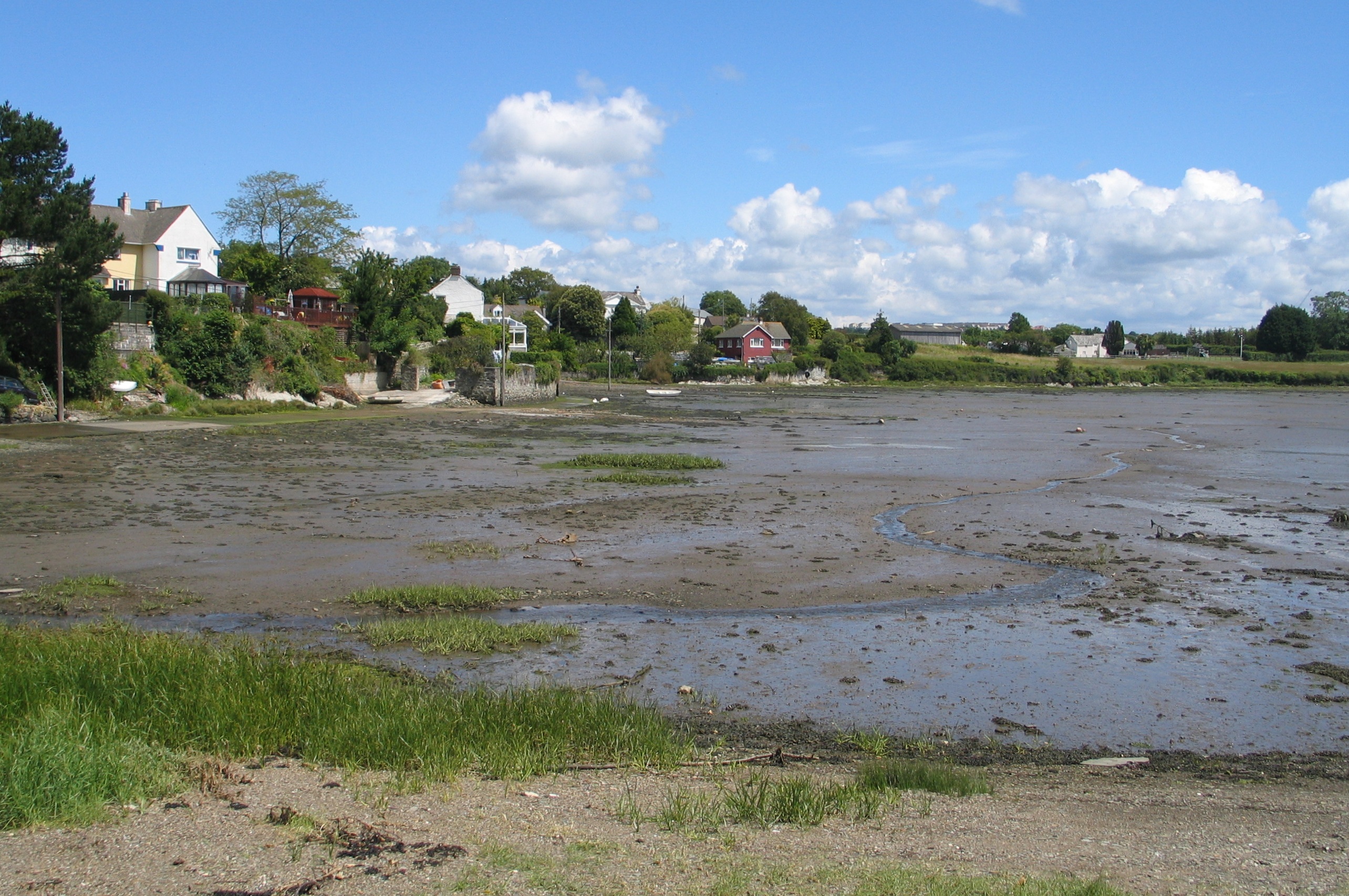 Wilcove Photos
