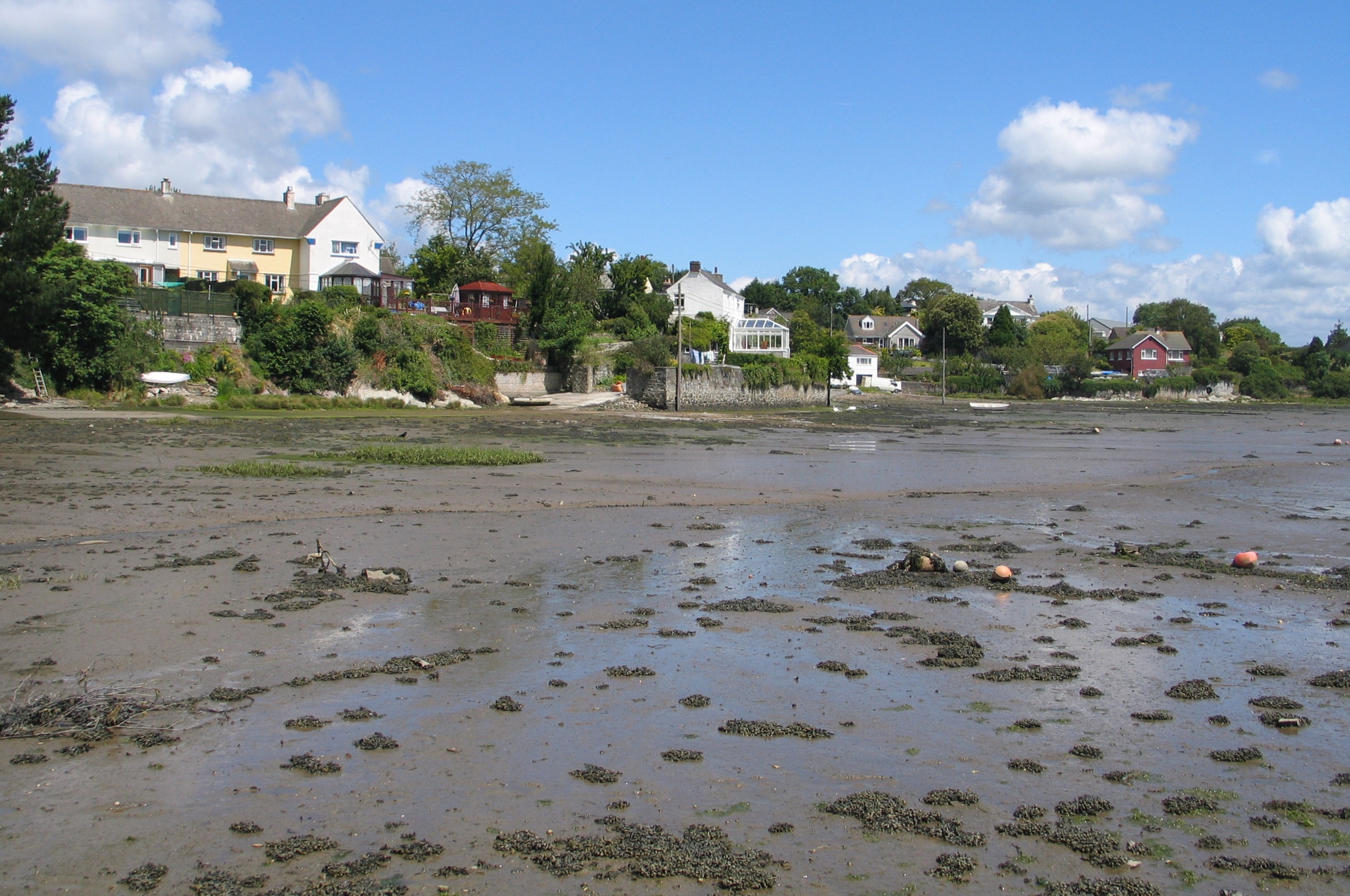 Wilcove Photos