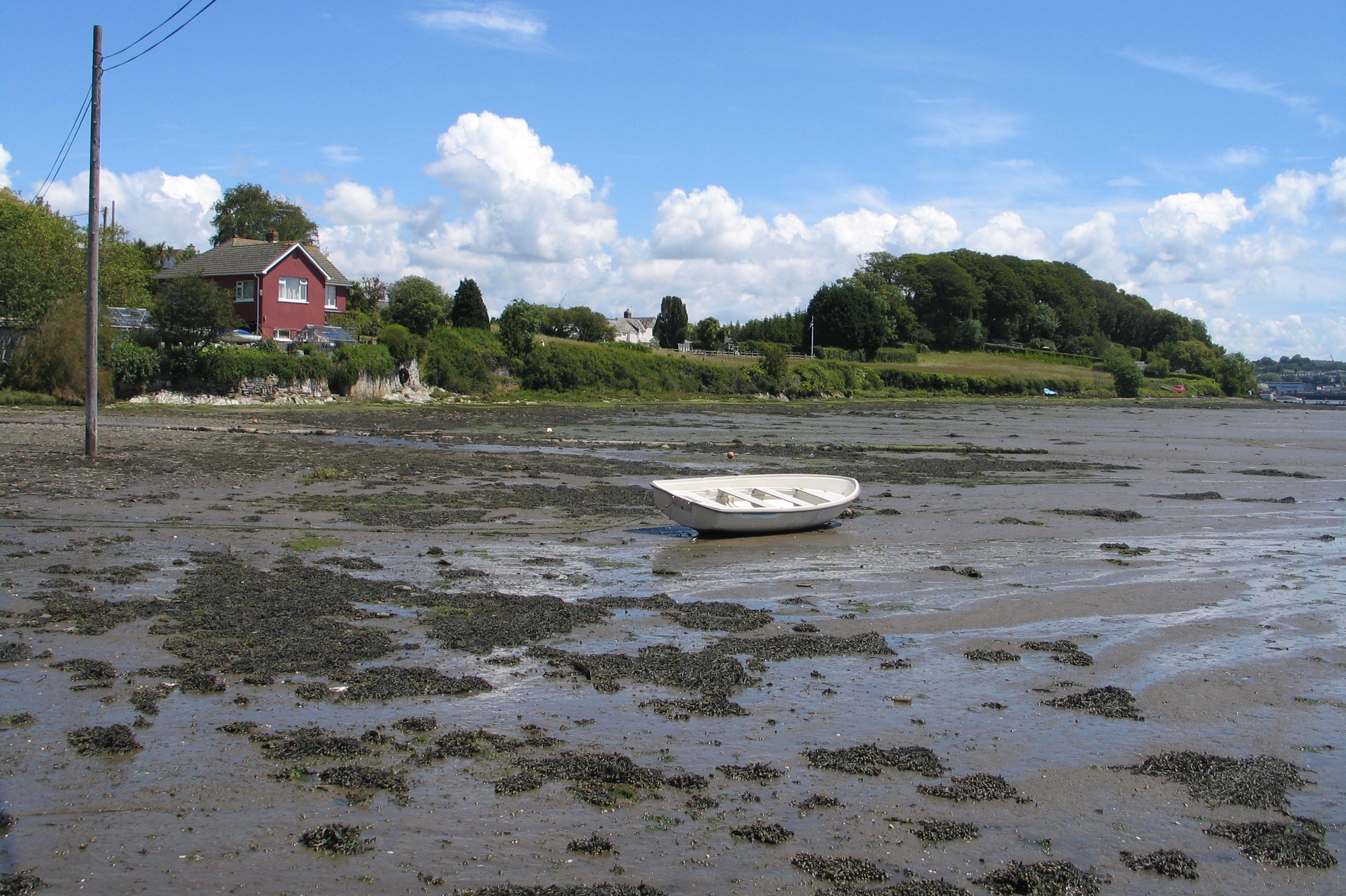 Wilcove Photos