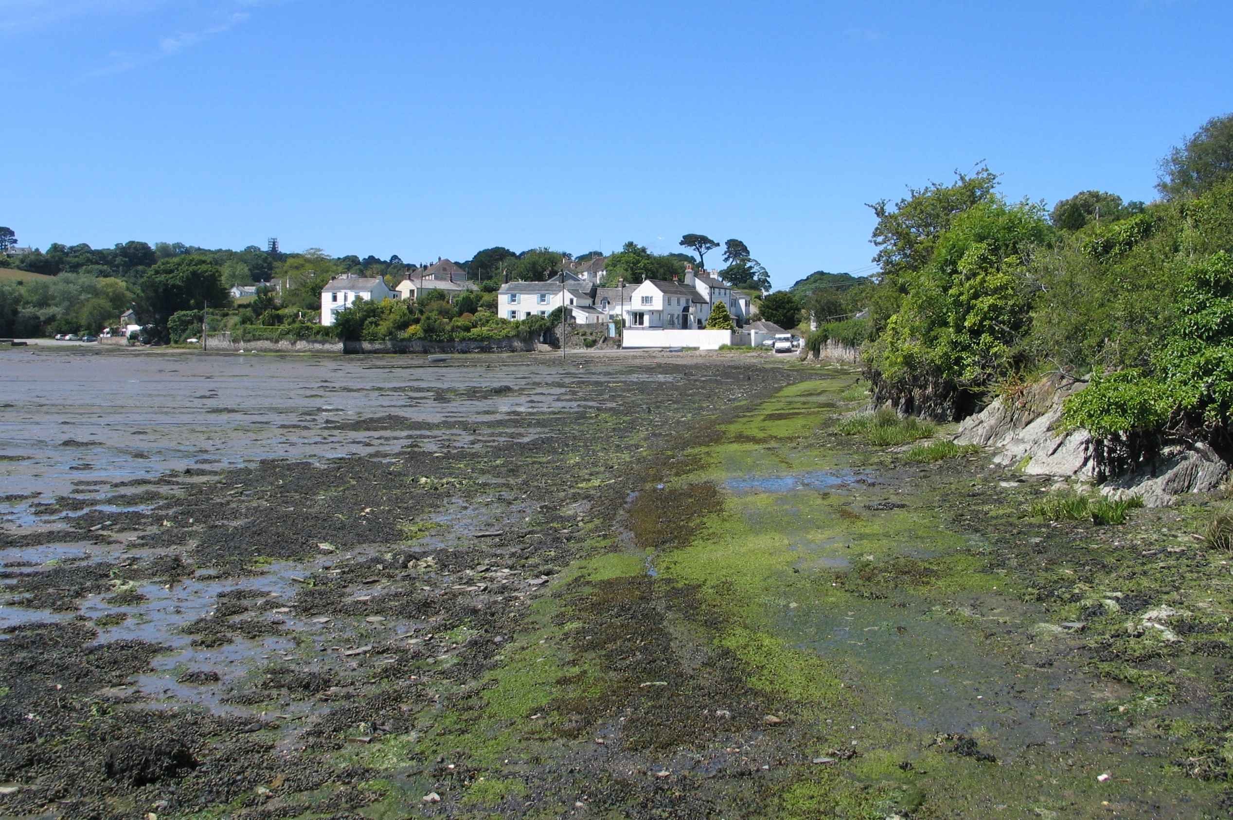 Wilcove Photos