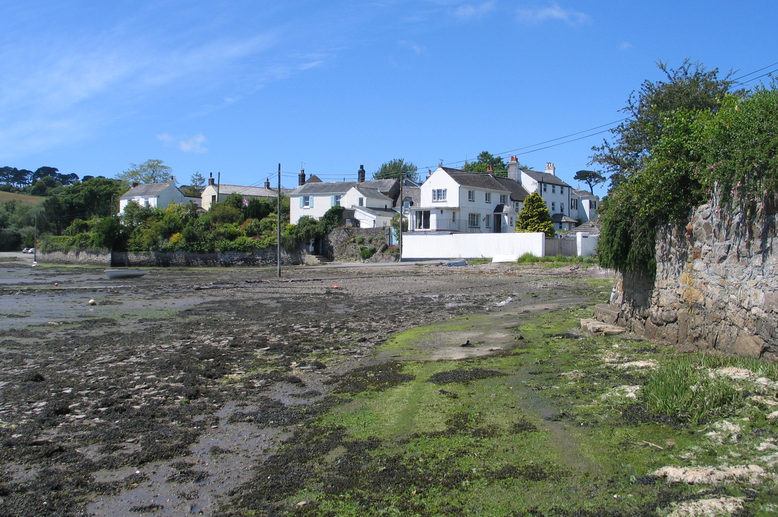 Wilcove Photos