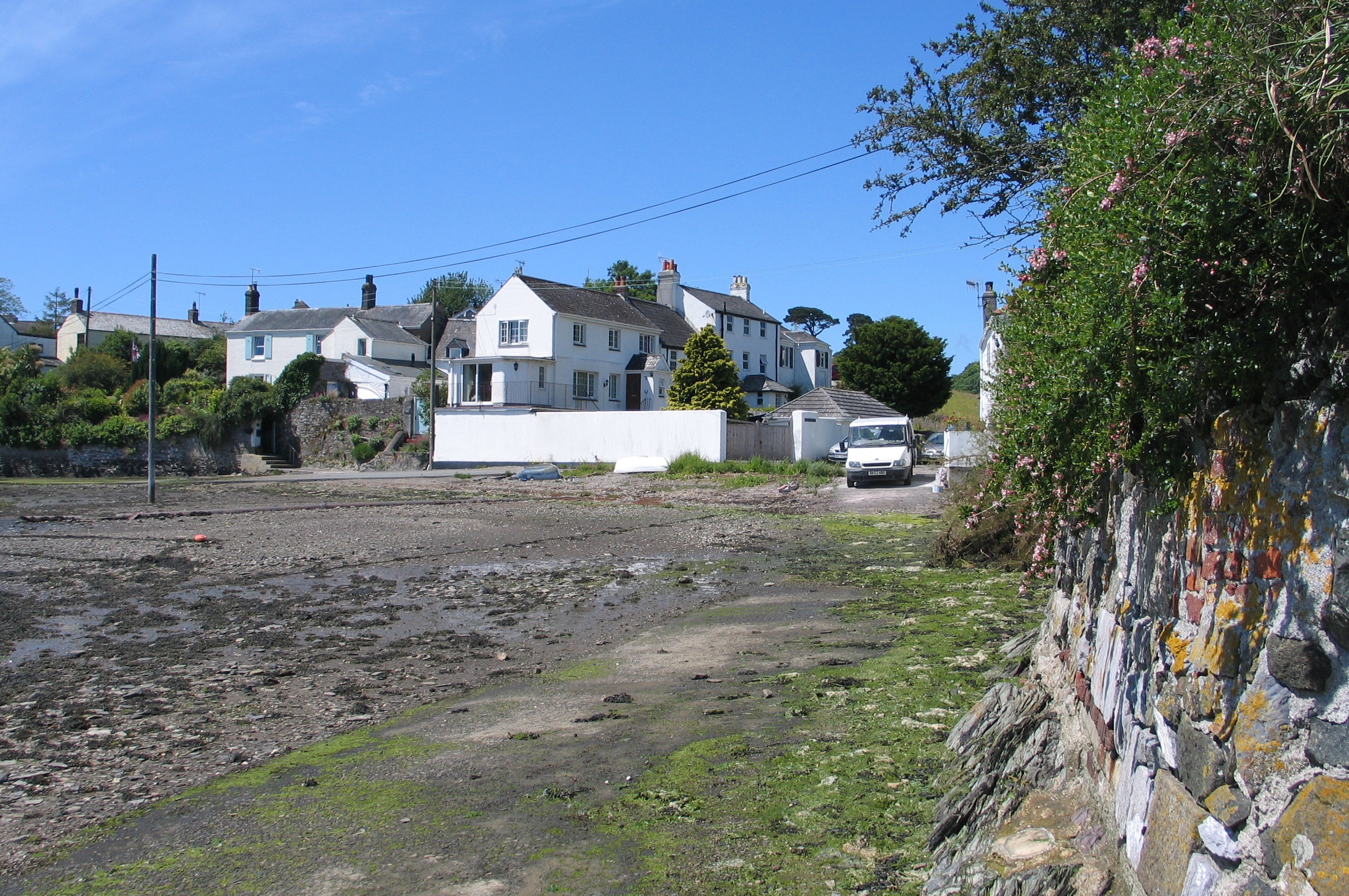 Wilcove Photos