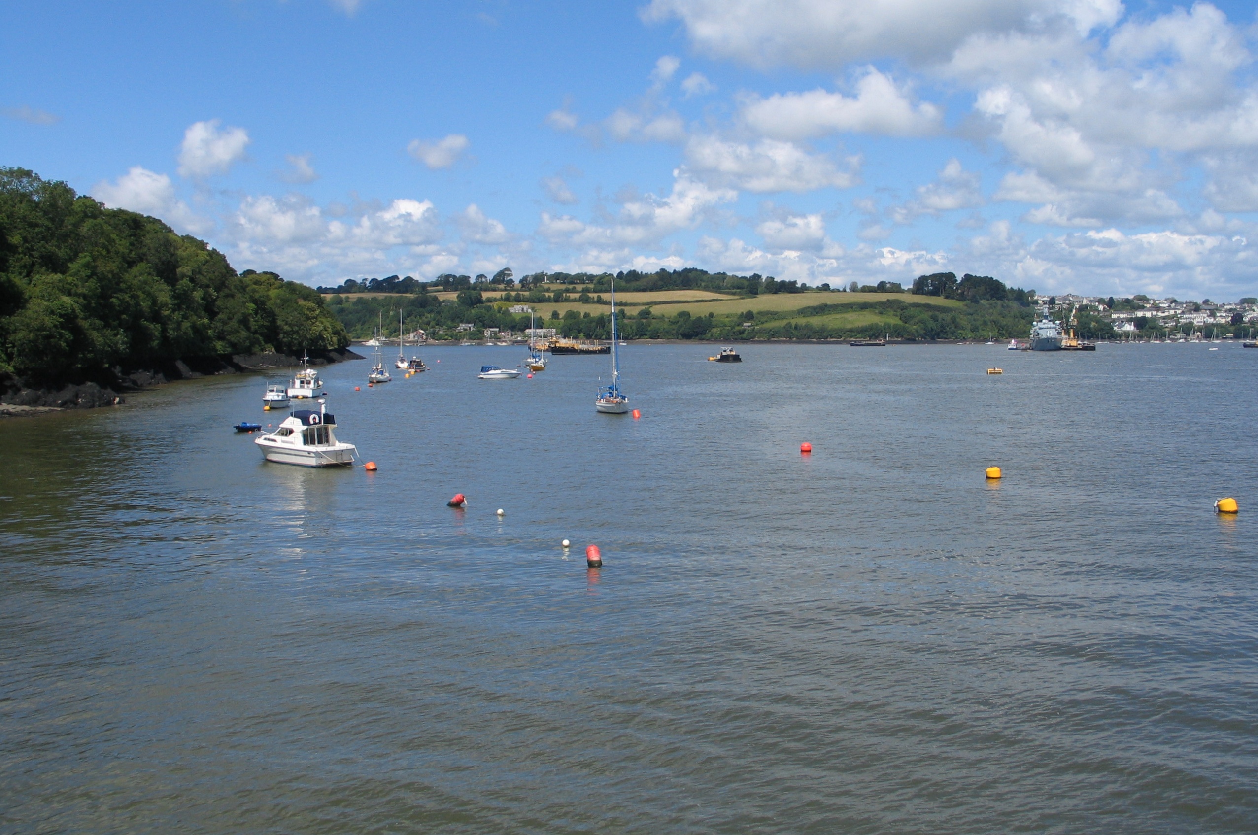 Wilcove Photos