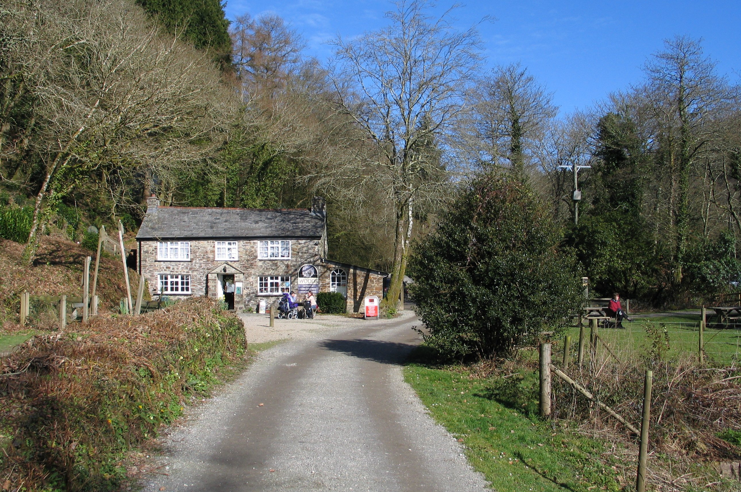 Cardinham Woods Photos