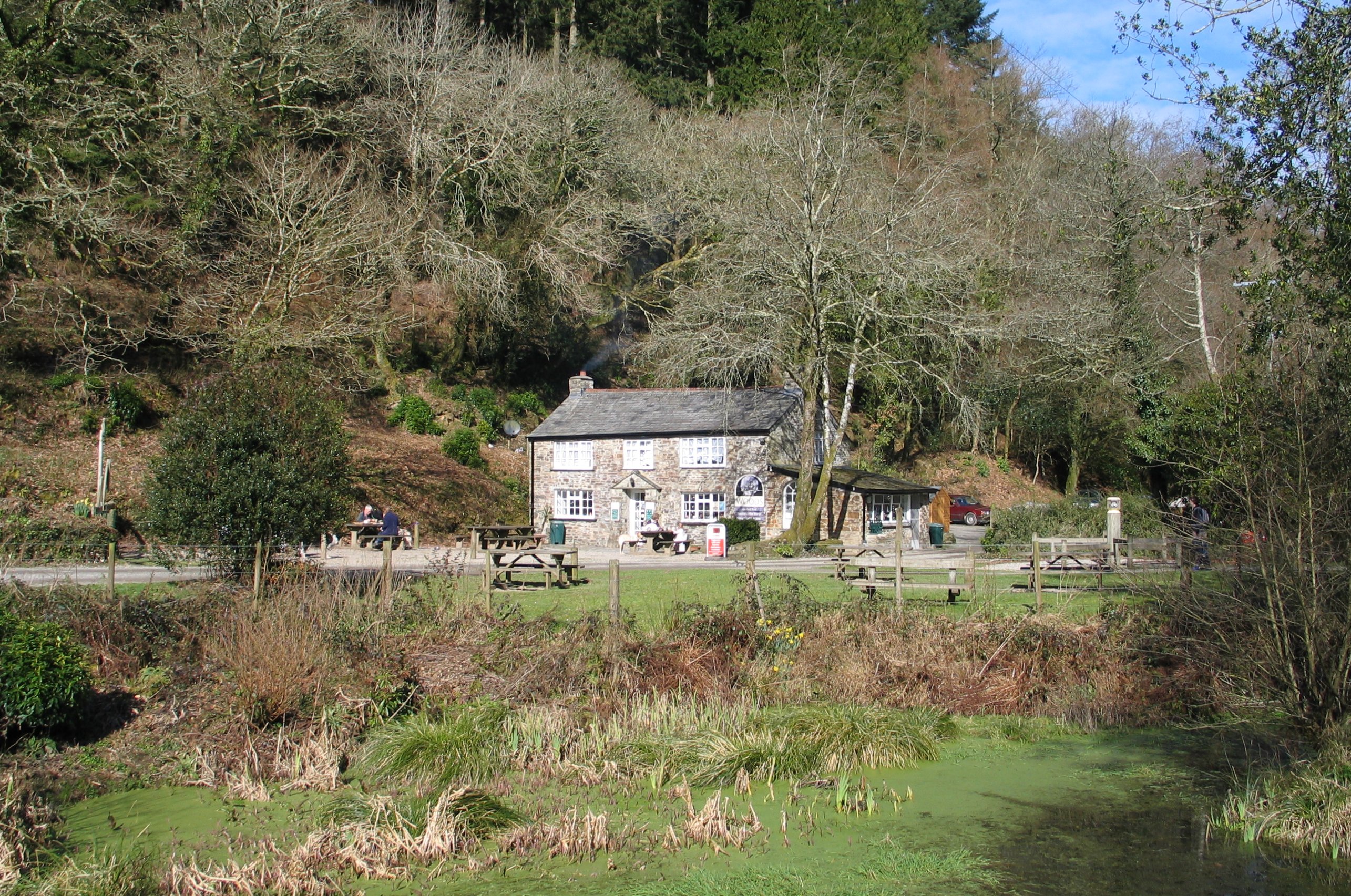 Cardinham Woods Photos