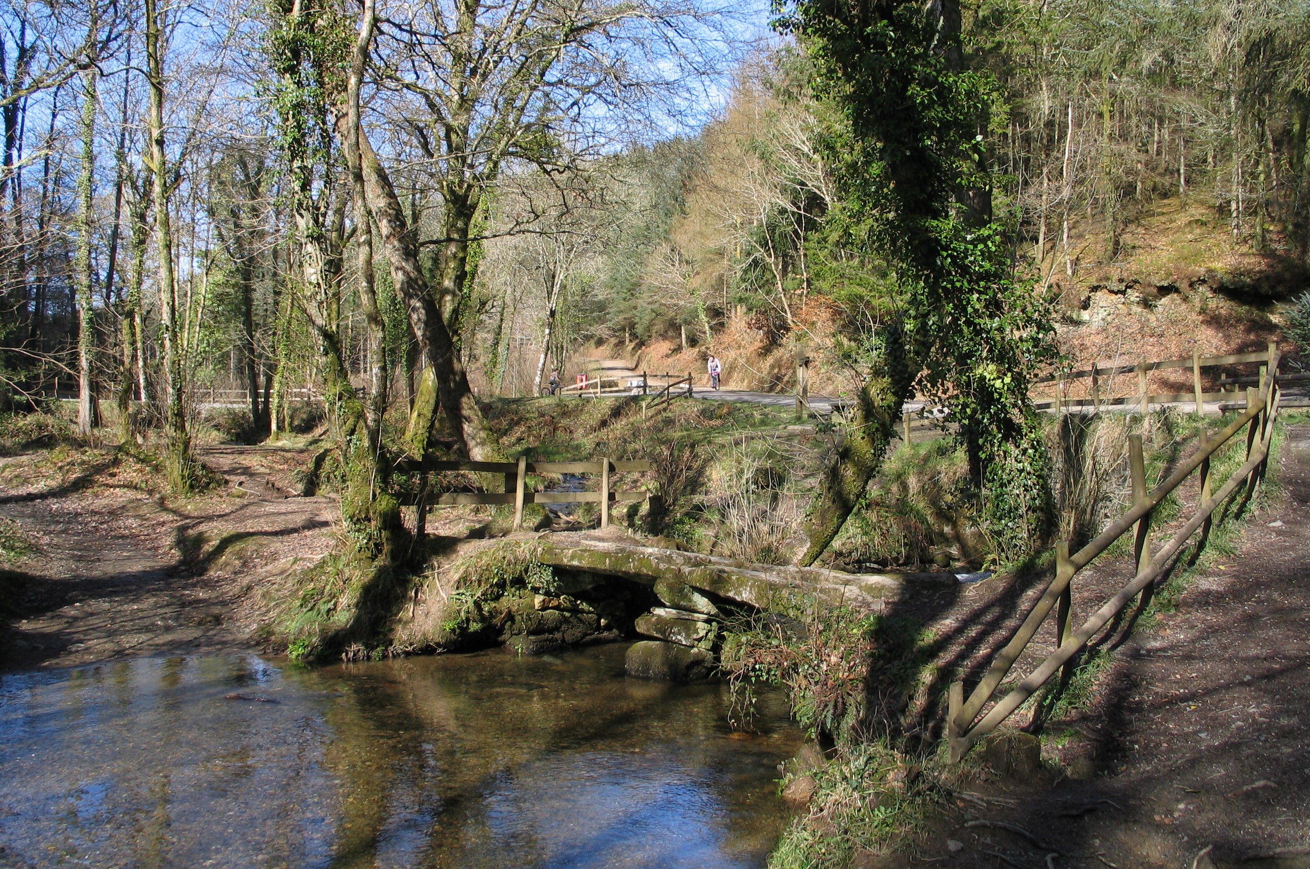 Cardinham Woods Photos